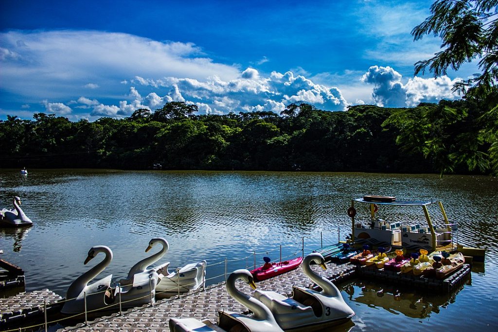 O que fazer em Maringá: 10 melhores pontos turísticos - Turismo & Cia