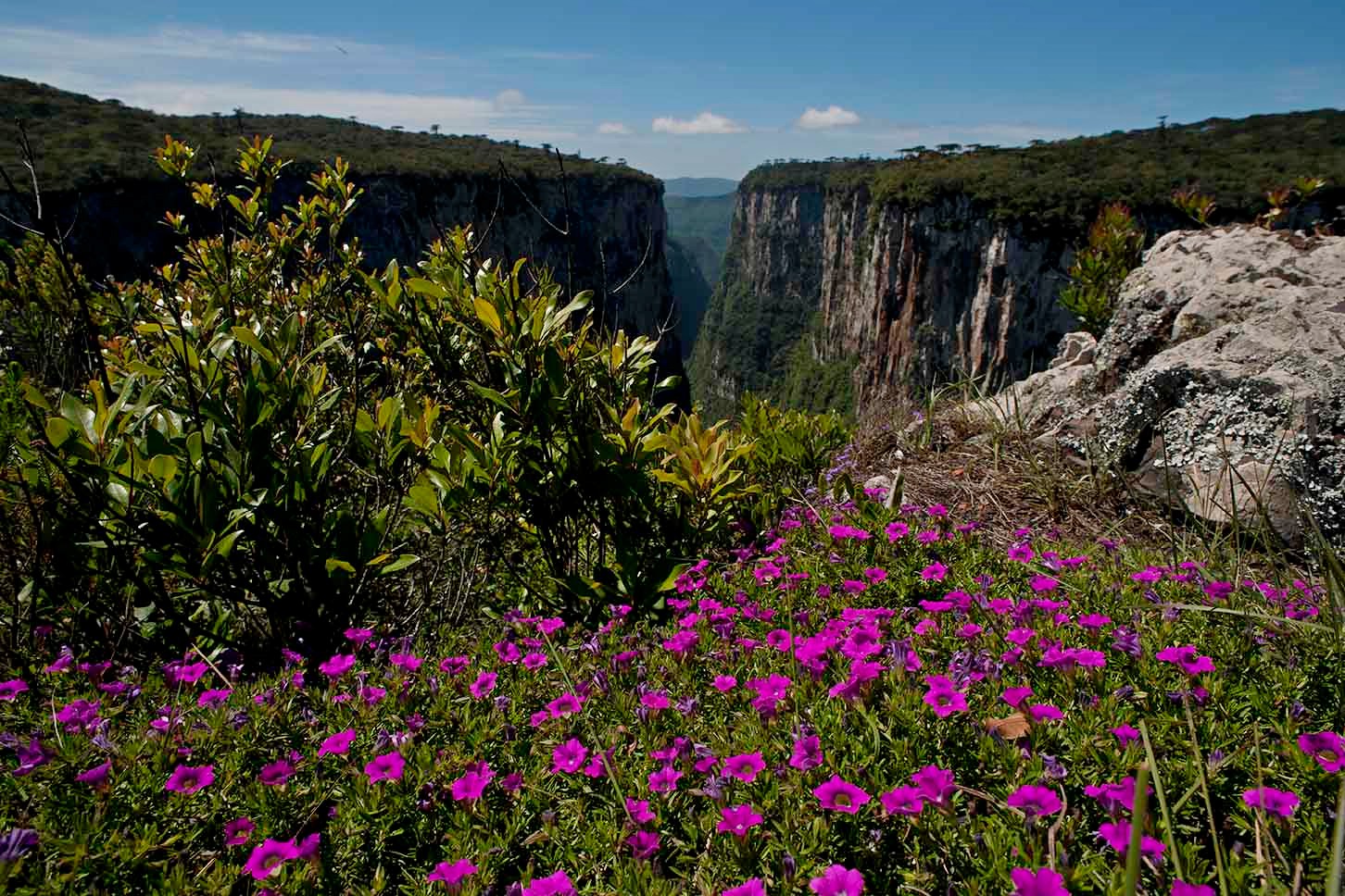 O que fazer em Cambará do Sul: 10 melhores pontos turísticos - Turismo ...
