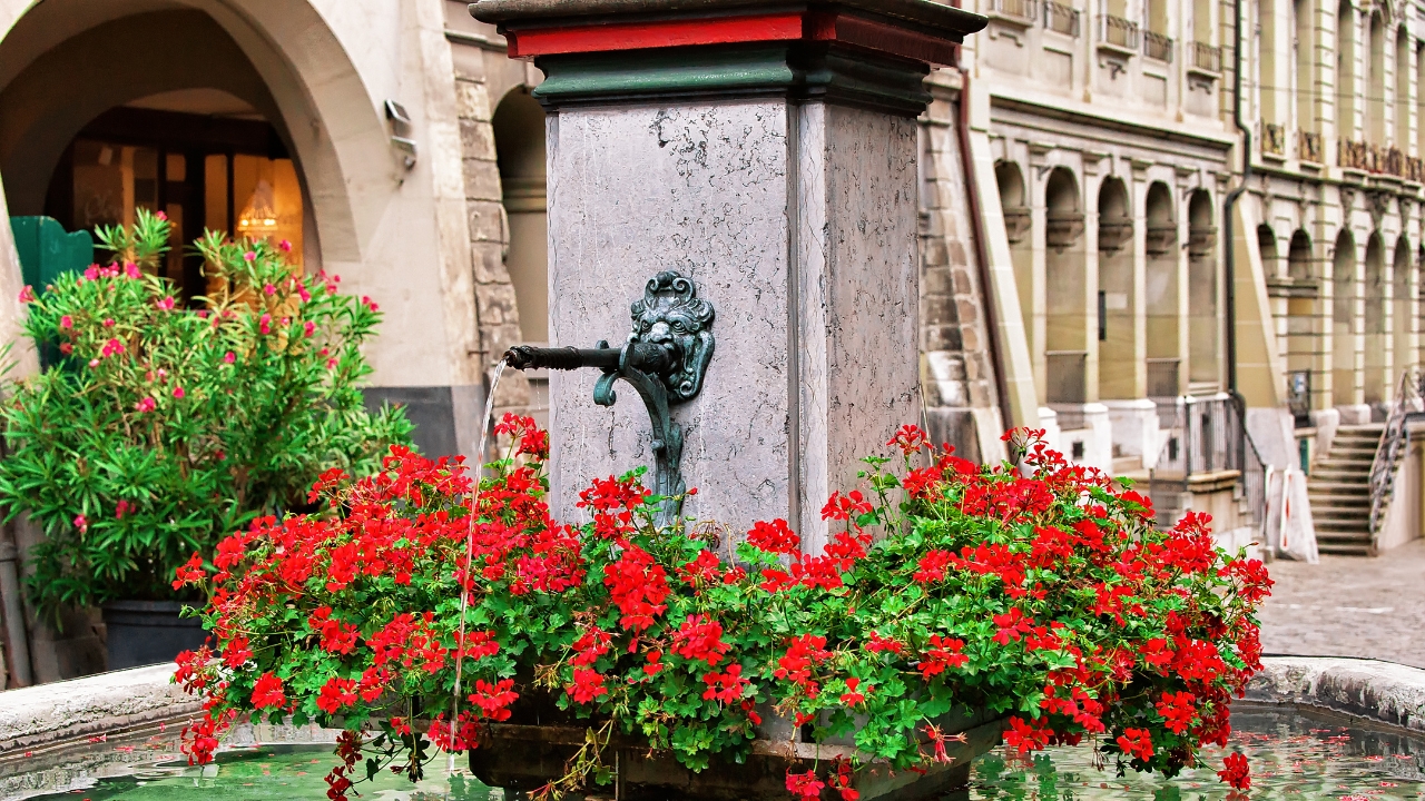 Bern: A Capital Suíça que Encanta com seu Charme Medieval! - Turismo & Cia